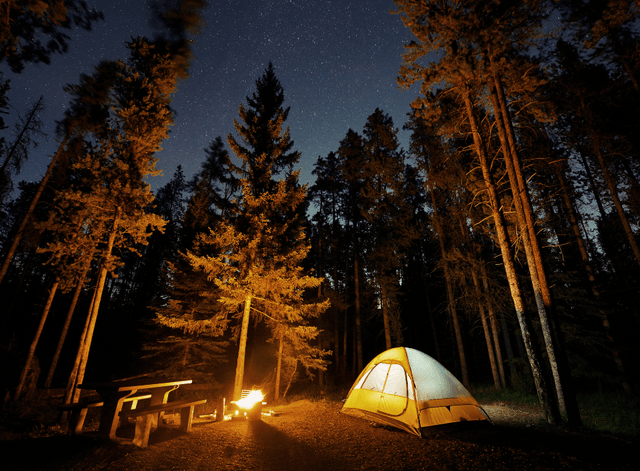 National Park Reservation Guide - Unique RV Camping with Harvest Hosts
