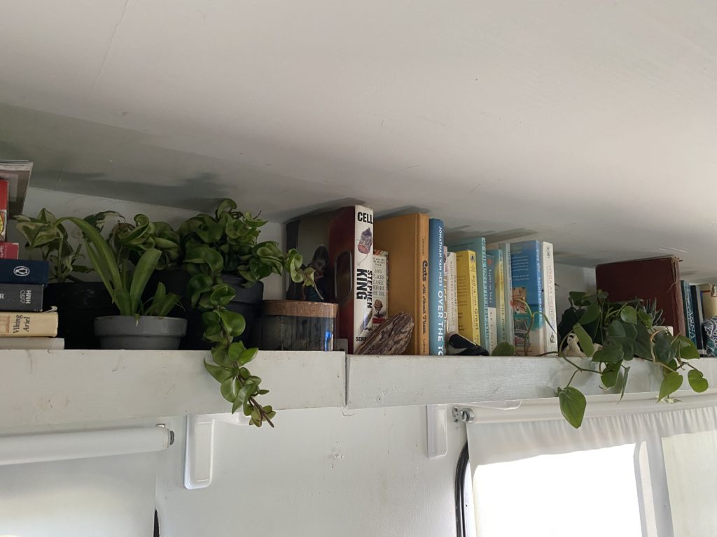 Caring for Plants in an RV