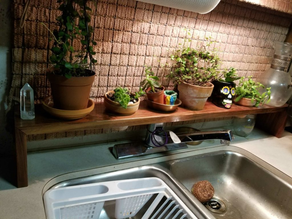 Caring for Plants in an RV