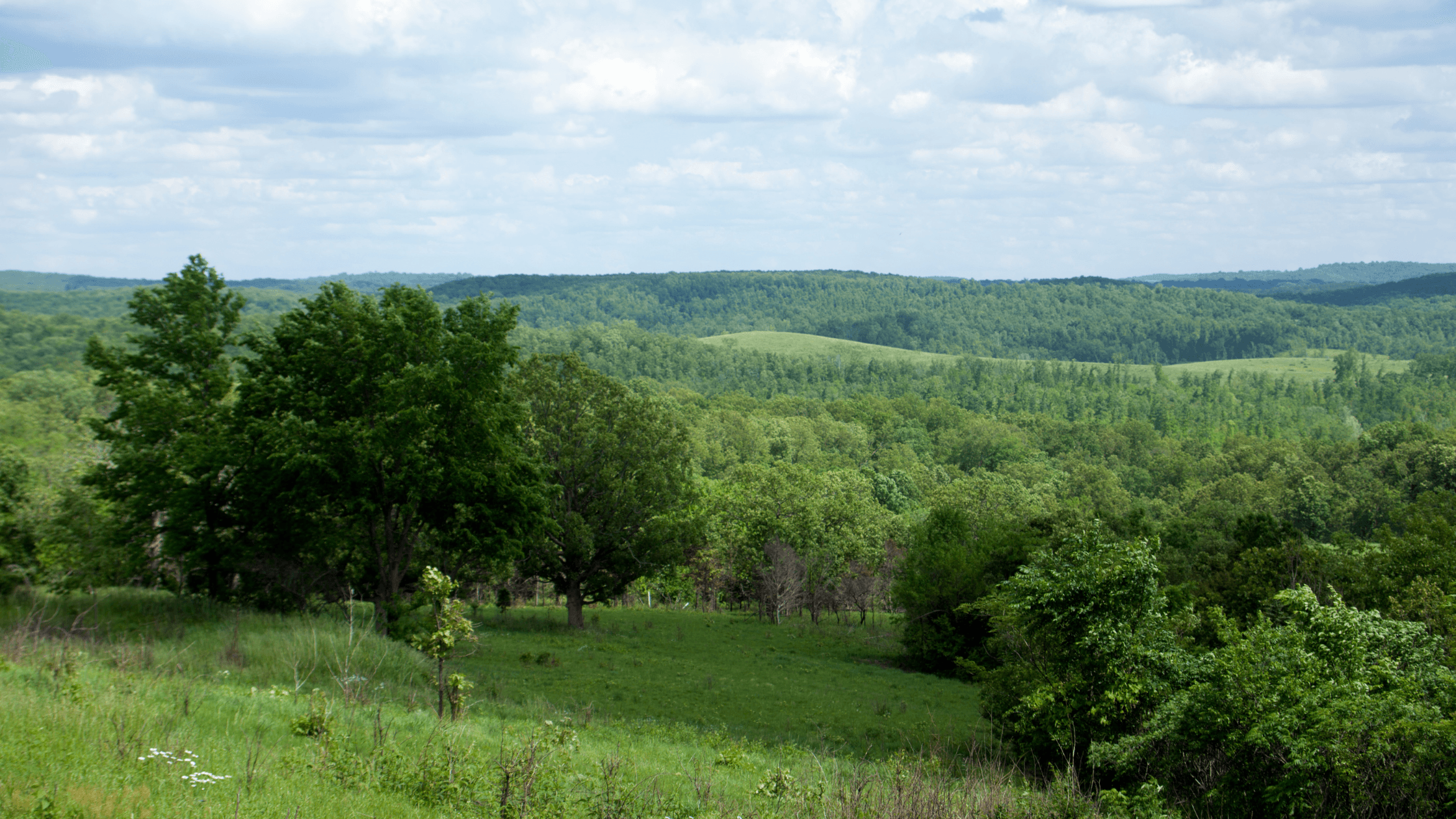 Exploring Southern Missouri