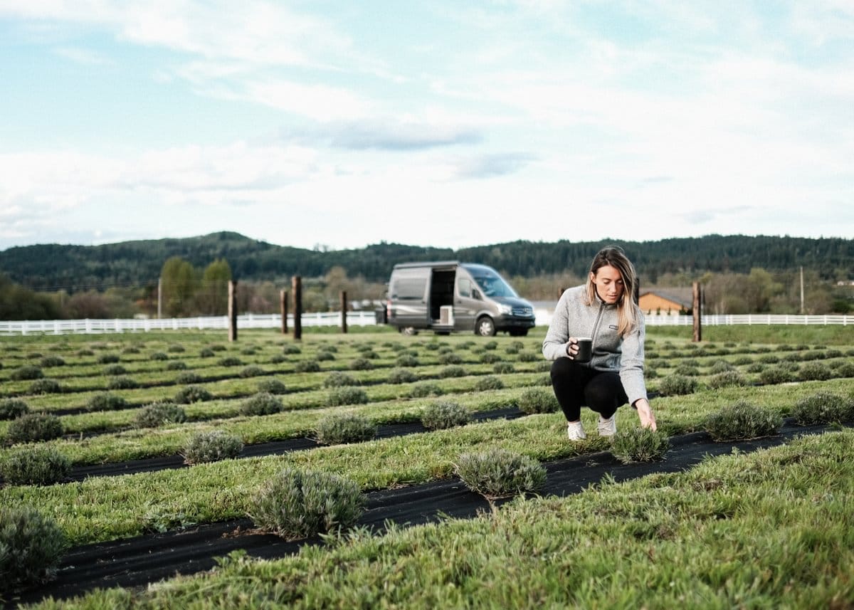 Gift Code Redemption